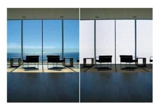 Privacy Glass Windows – Window Replacement Cost Guide